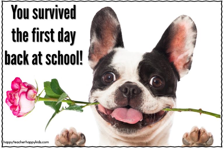 Survive the First Day Back at School After Winter Break - Happy Teacher ...